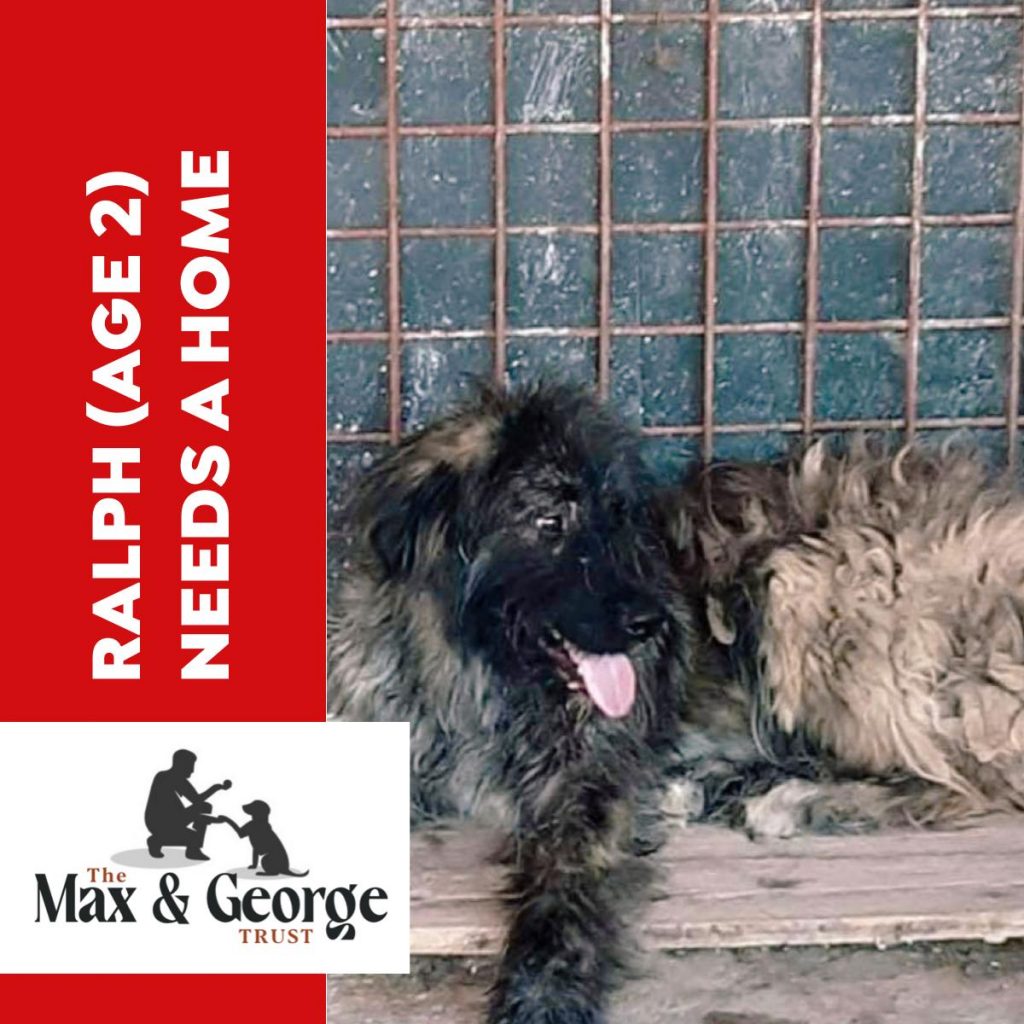 Ralph - Max & George Trust