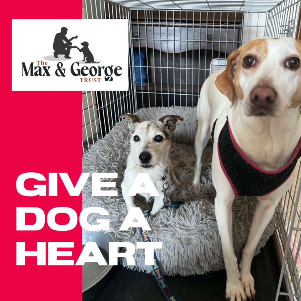 Home - Max & George Trust