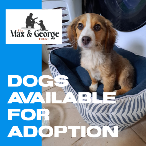 Home - Max & George Trust