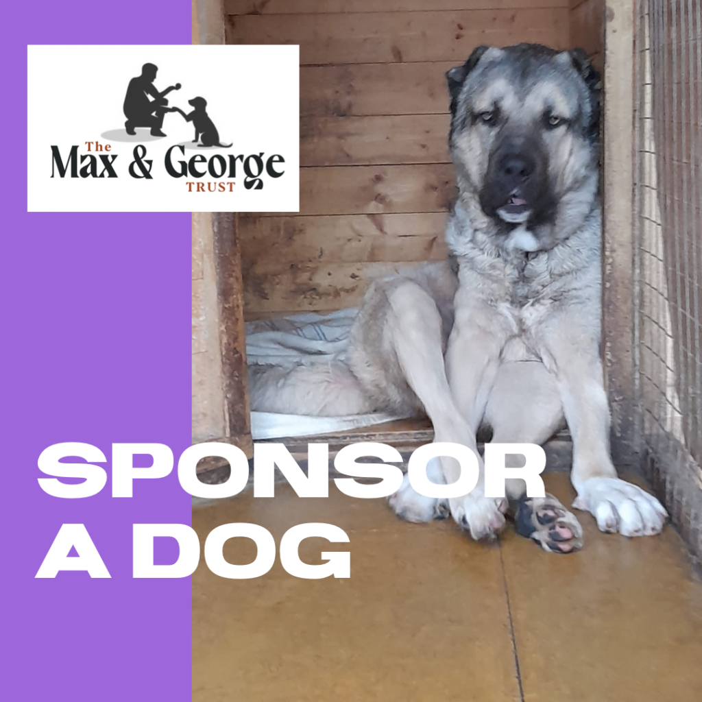 Home - Max & George Trust